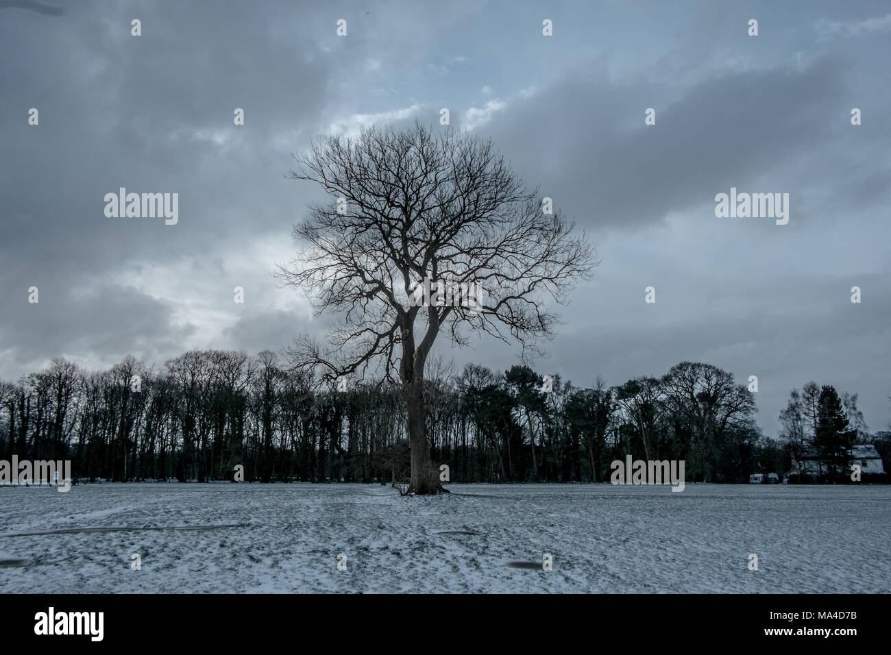 Worden Park, Leyland Stock Photo - Alamy