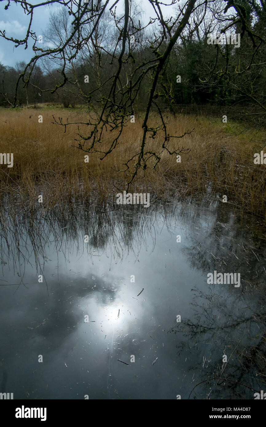 Yarrow valley hi-res stock photography and images - Alamy