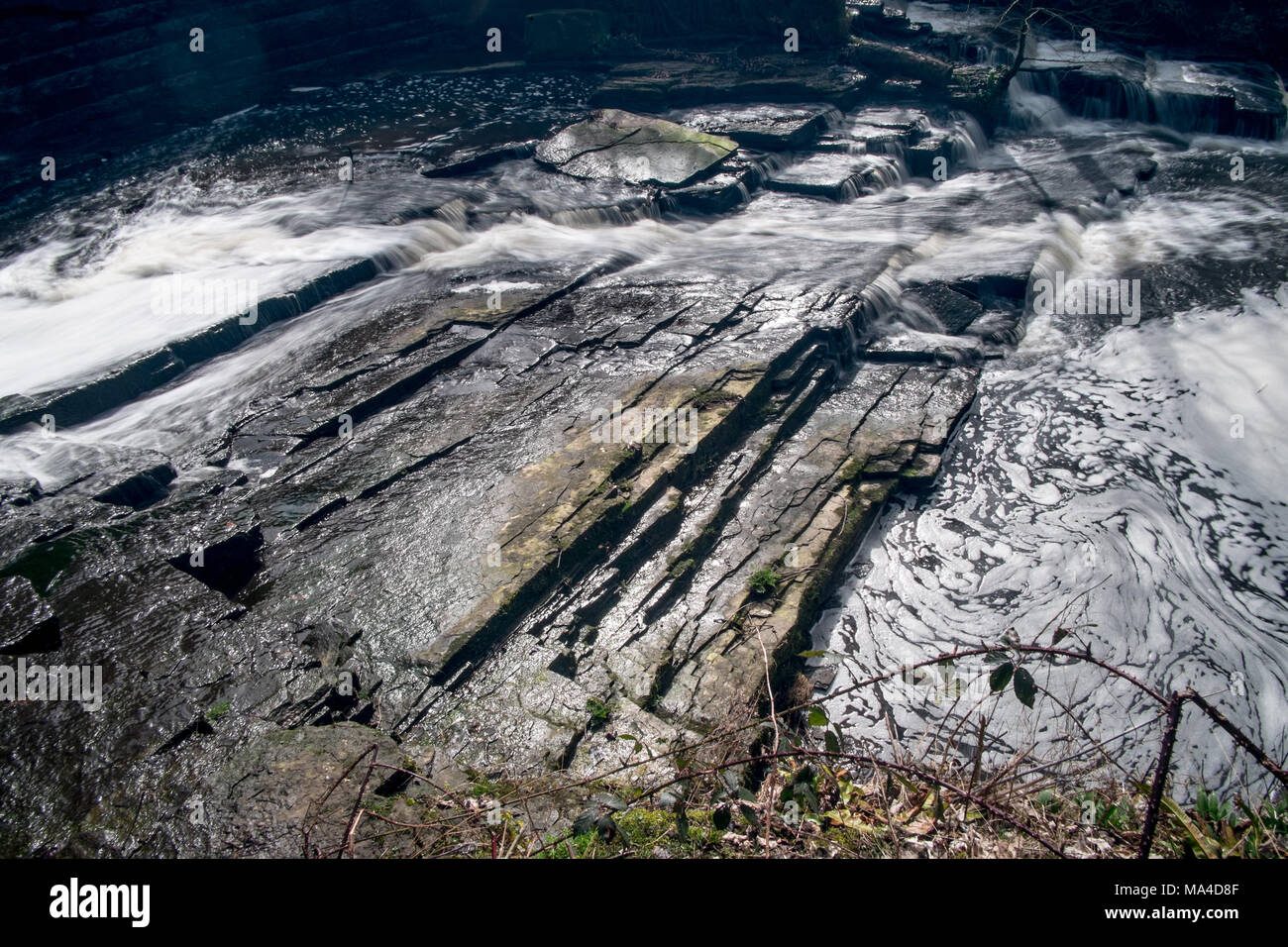 Yarrow Valley Park Stock Photo - Alamy