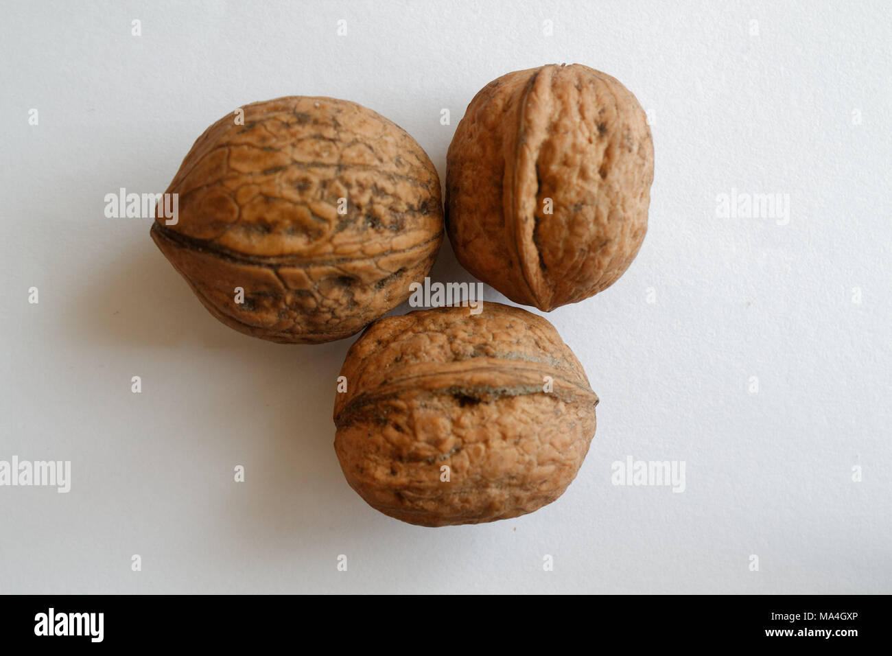 Three isolated walnut on a white background Stock Photo - Alamy