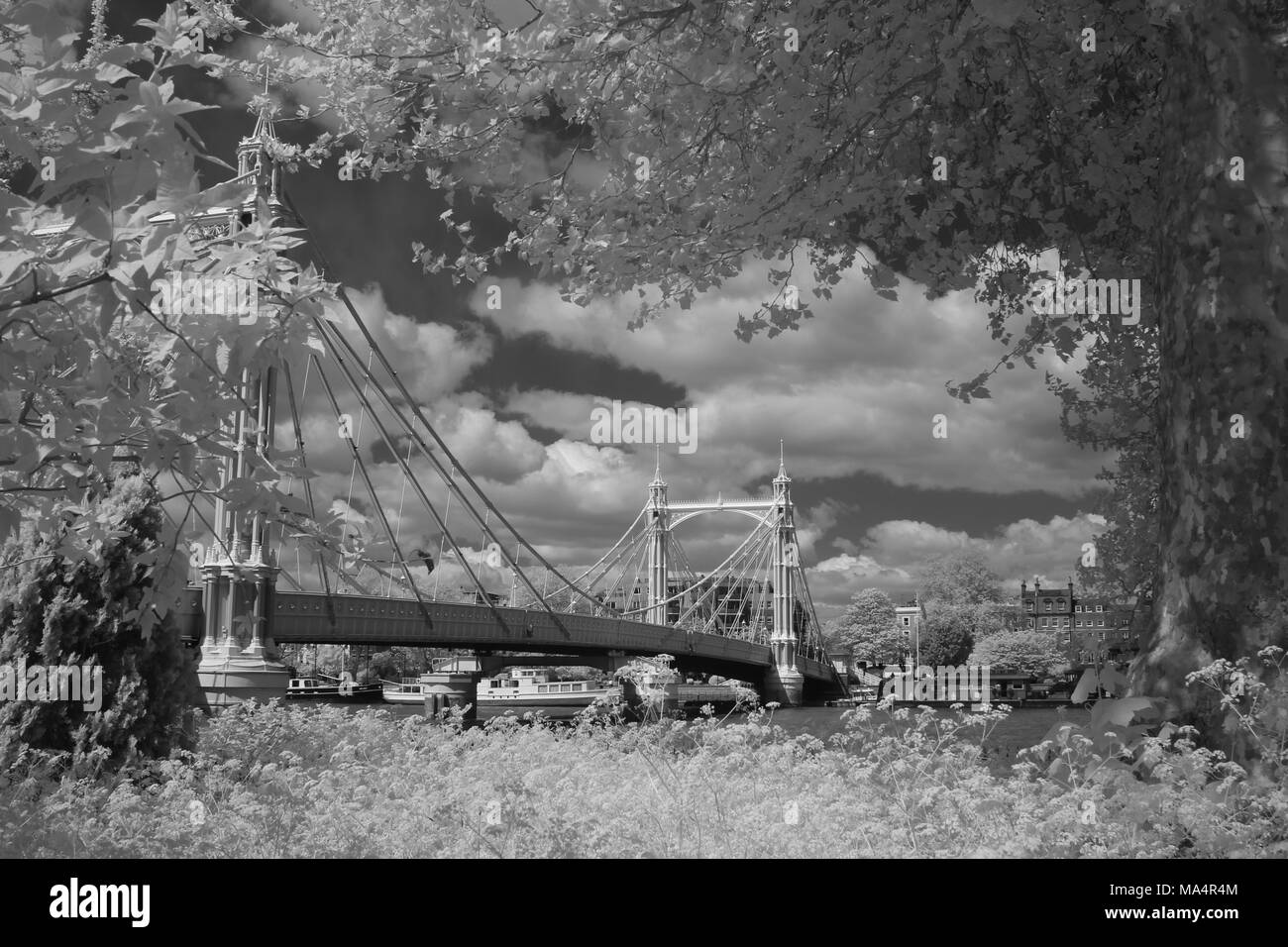 Albert Bridge, London Stock Photo - Alamy