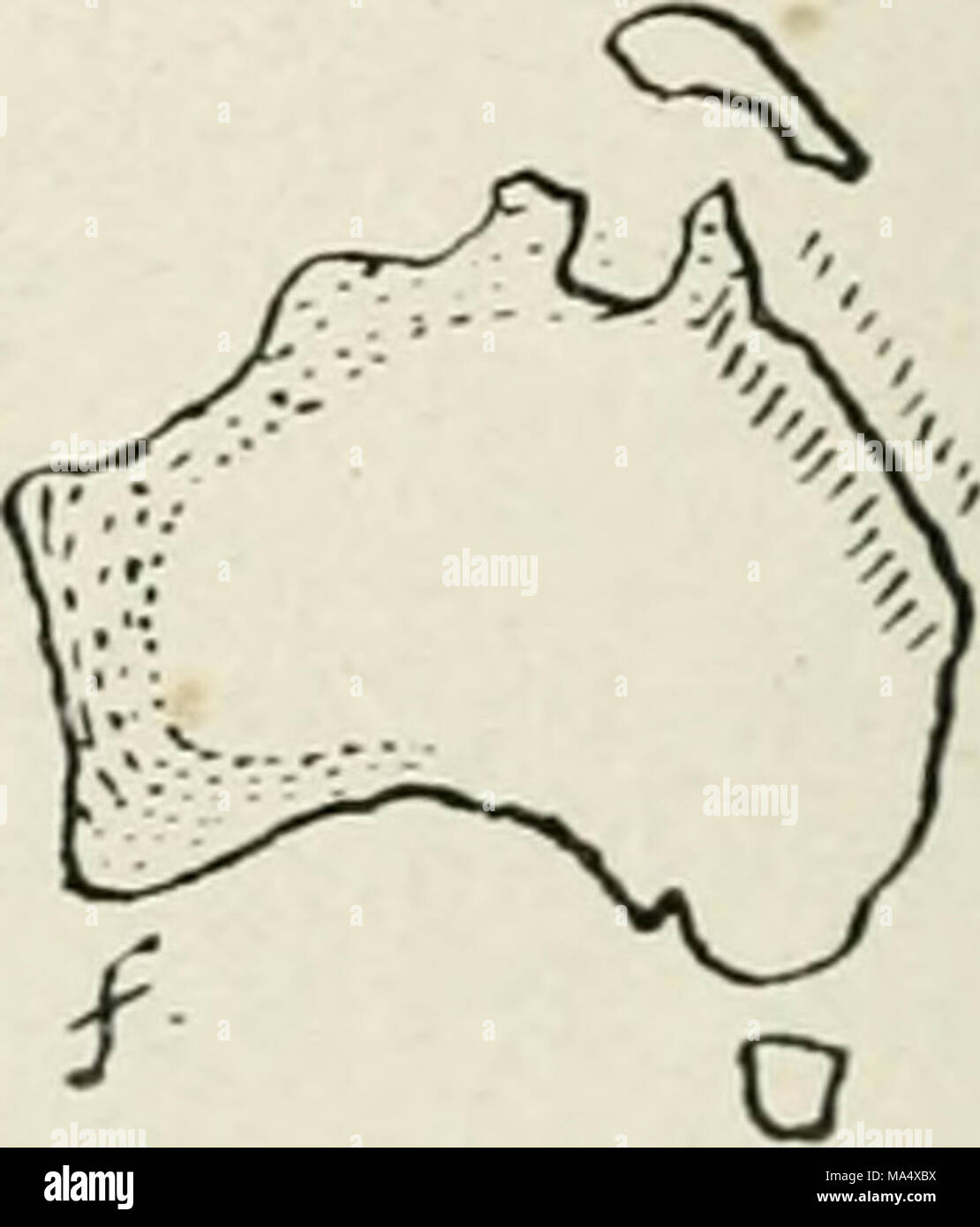 . The Emu Stock Photo - Alamy