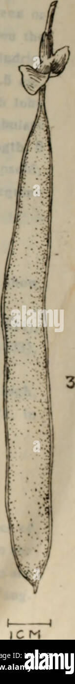 Pei zhi hi-res stock photography and images - Alamy