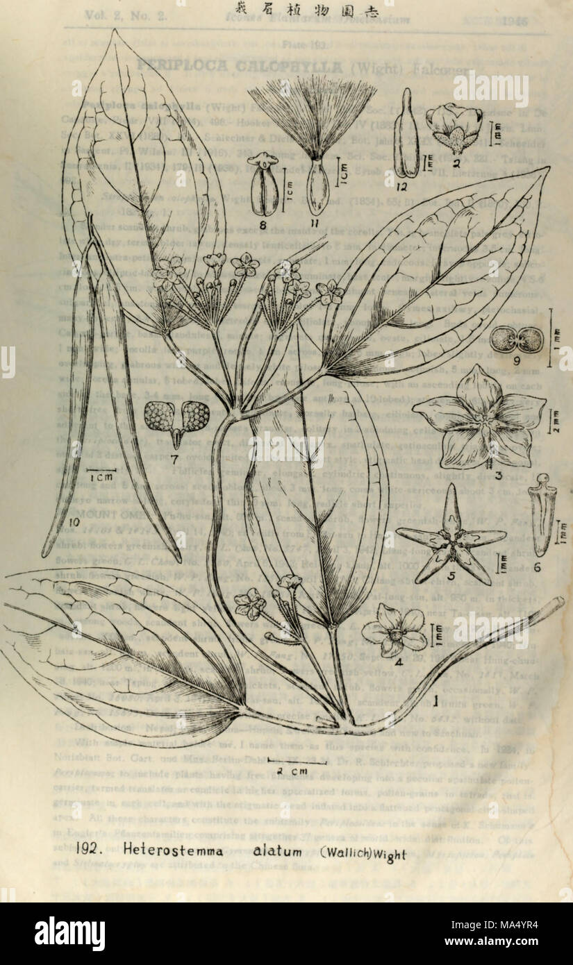 Wen zhi hi-res stock photography and images - Alamy