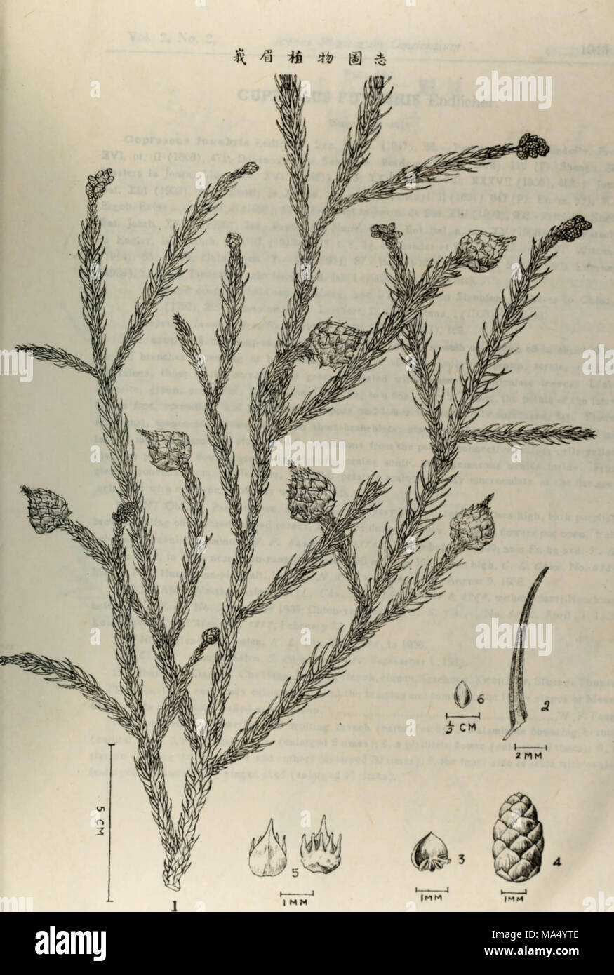 Zhi wen hi-res stock photography and images - Alamy