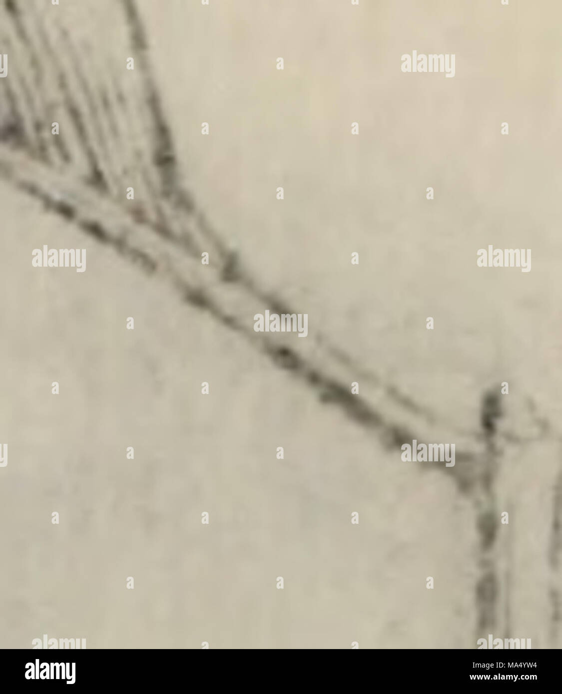 . e mei zhi wu zhi Stock Photo - Alamy