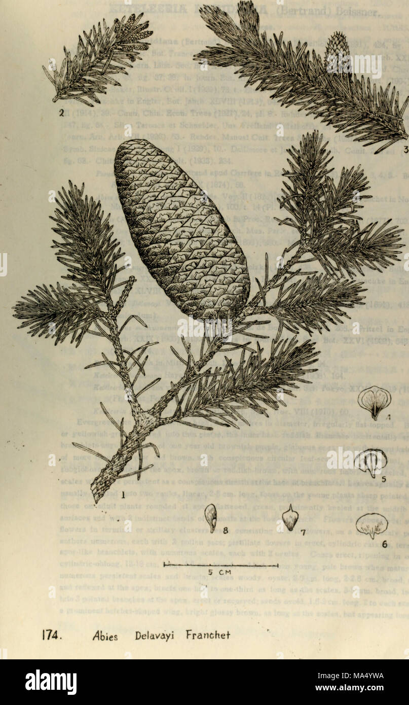 . e mei zhi wu zhi Stock Photo - Alamy