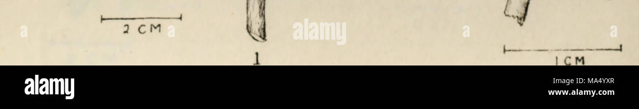 . e mei zhi wu zhi Stock Photo - Alamy