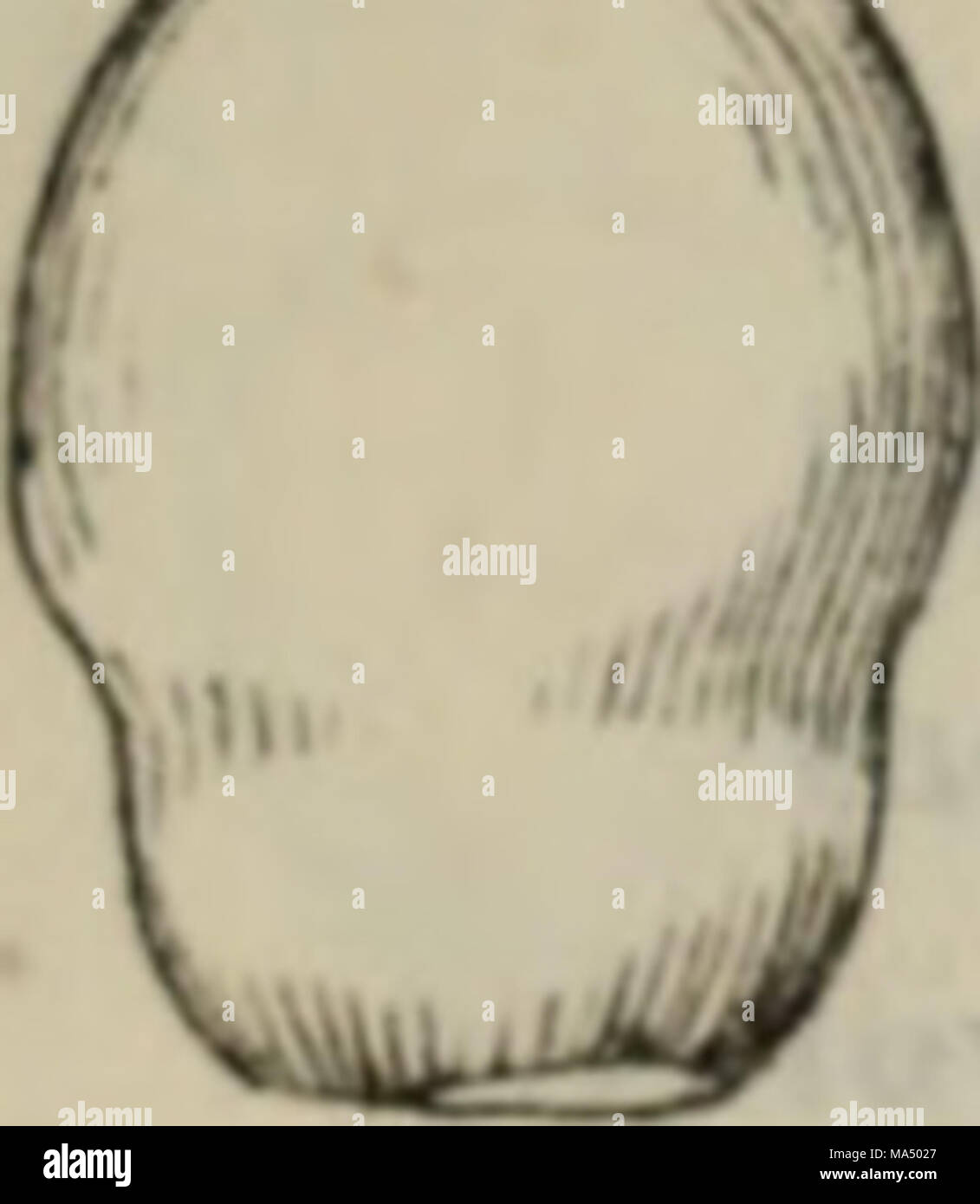 . e mei zhi wu tu zhi Stock Photo - Alamy