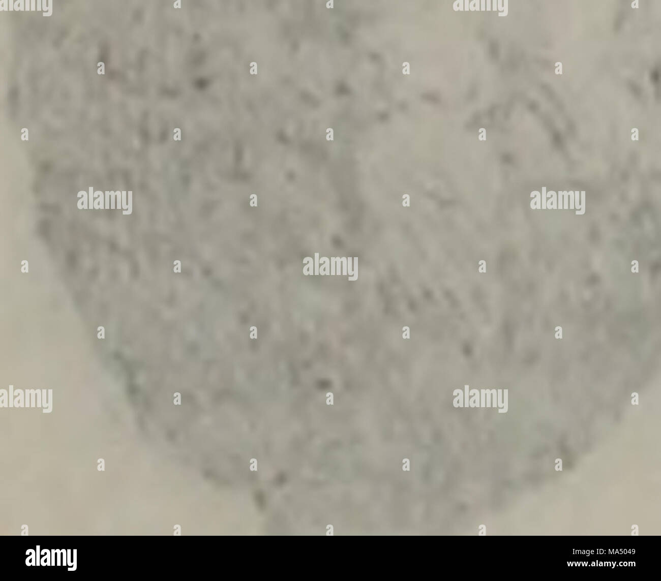 . e mei zhi wu tu zhi Stock Photo - Alamy