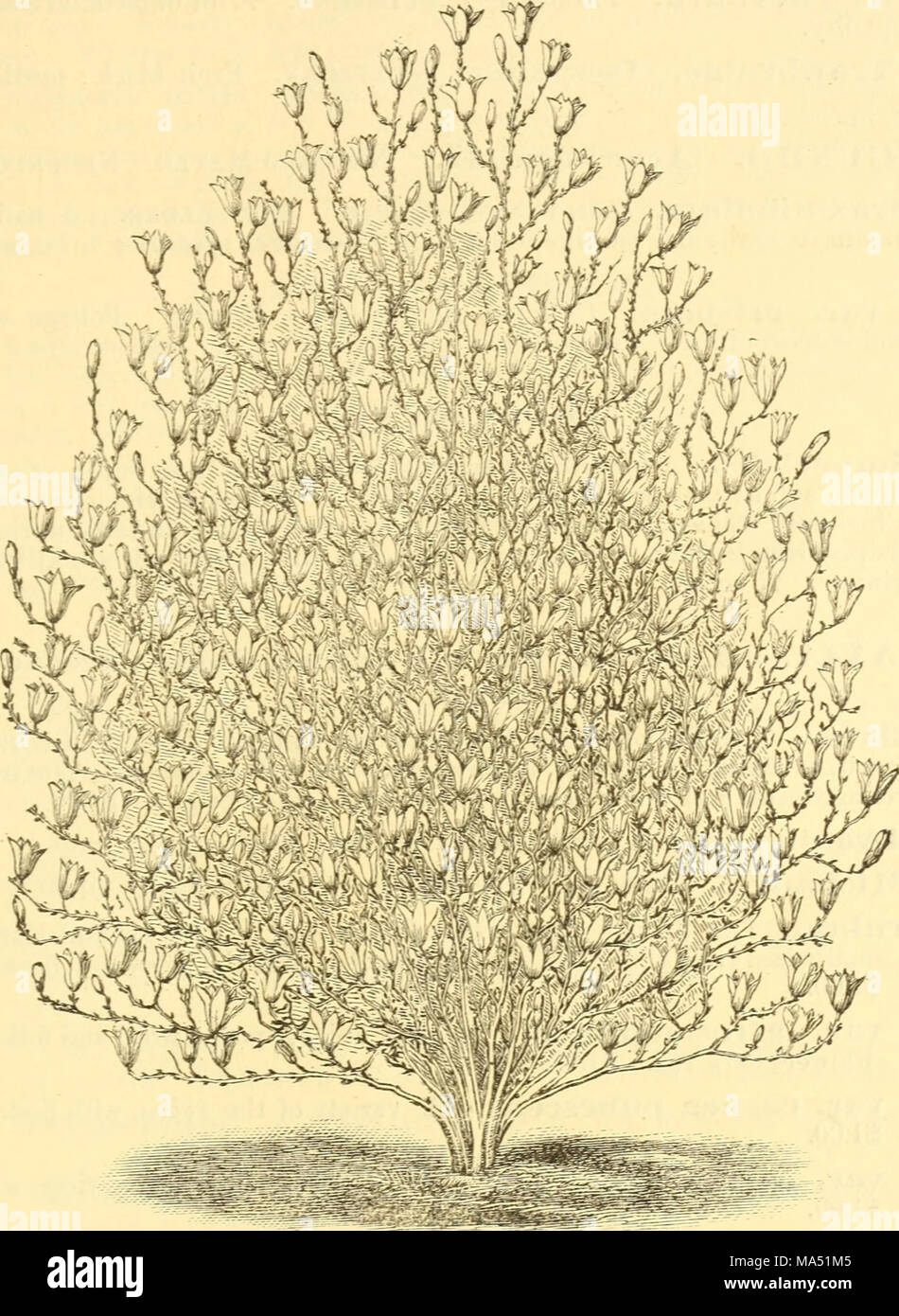 Barrys catalogue hi-res stock photography and images - Alamy