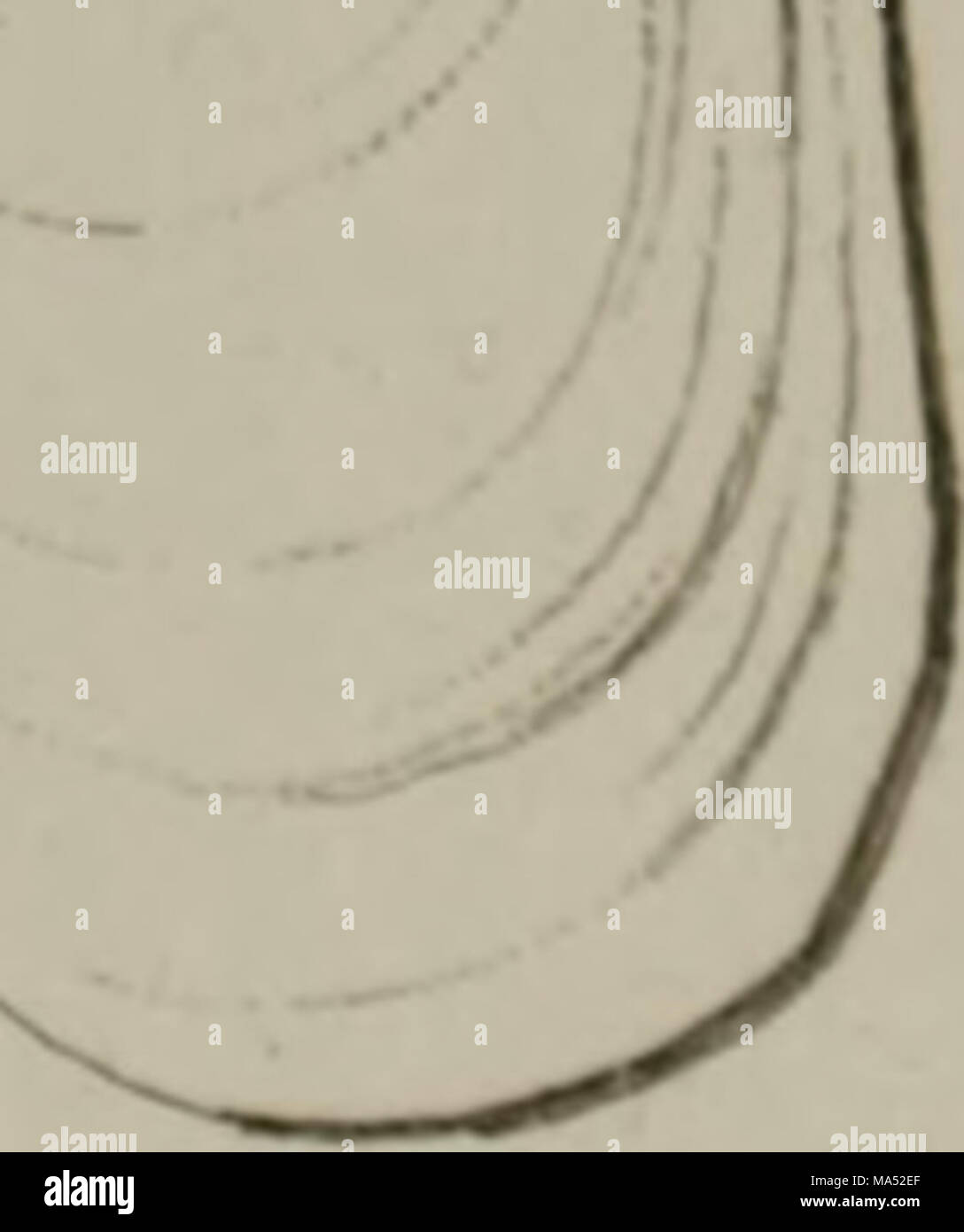 . Elements of conchology : according to the Linnean system, illustrated ...