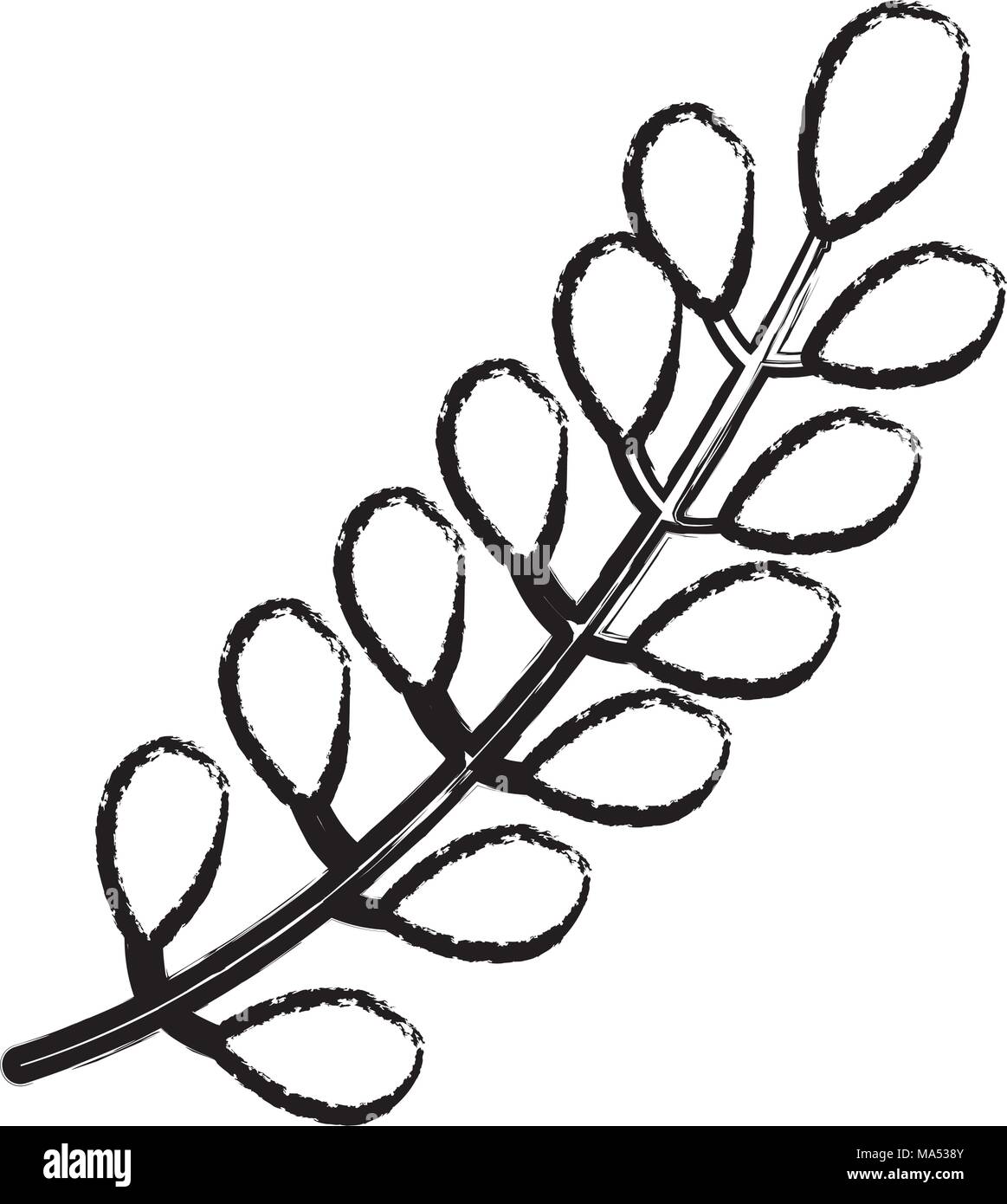 grunge nature leaves branches tropical design vector illustration Stock ...