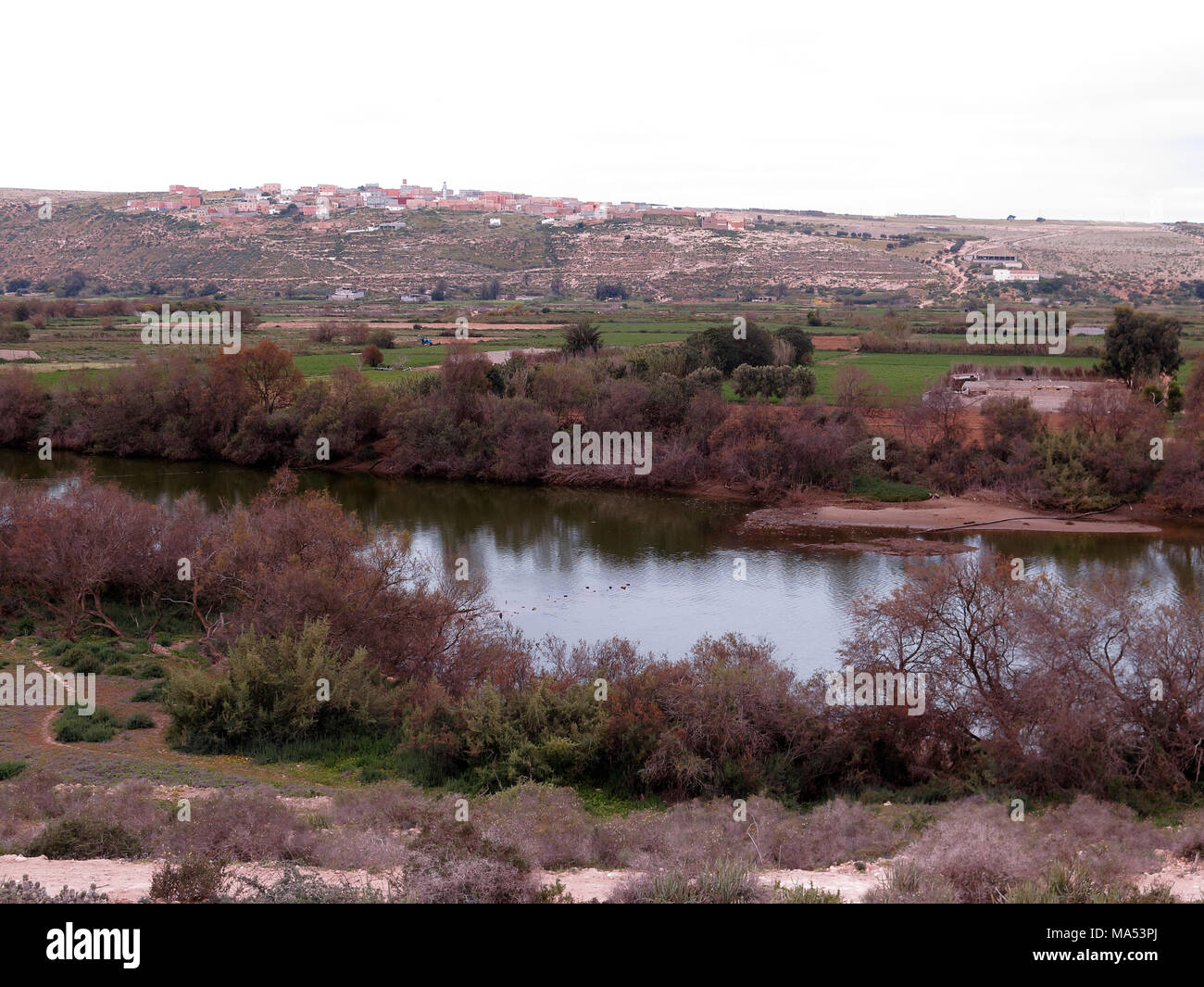 Souss massa national park hi-res stock photography and images - Alamy