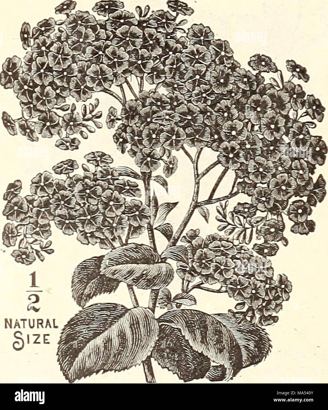 Elliott gilbert hi-res stock photography and images - Alamy