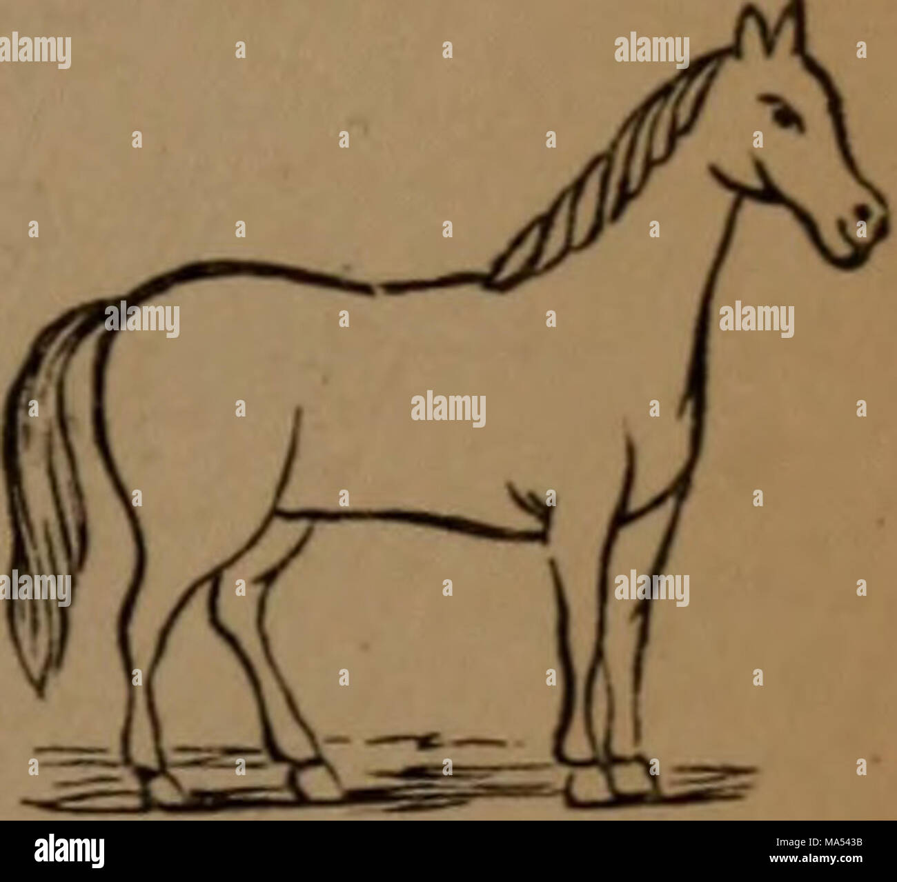 . Elliot's book of forms Stock Photo - Alamy