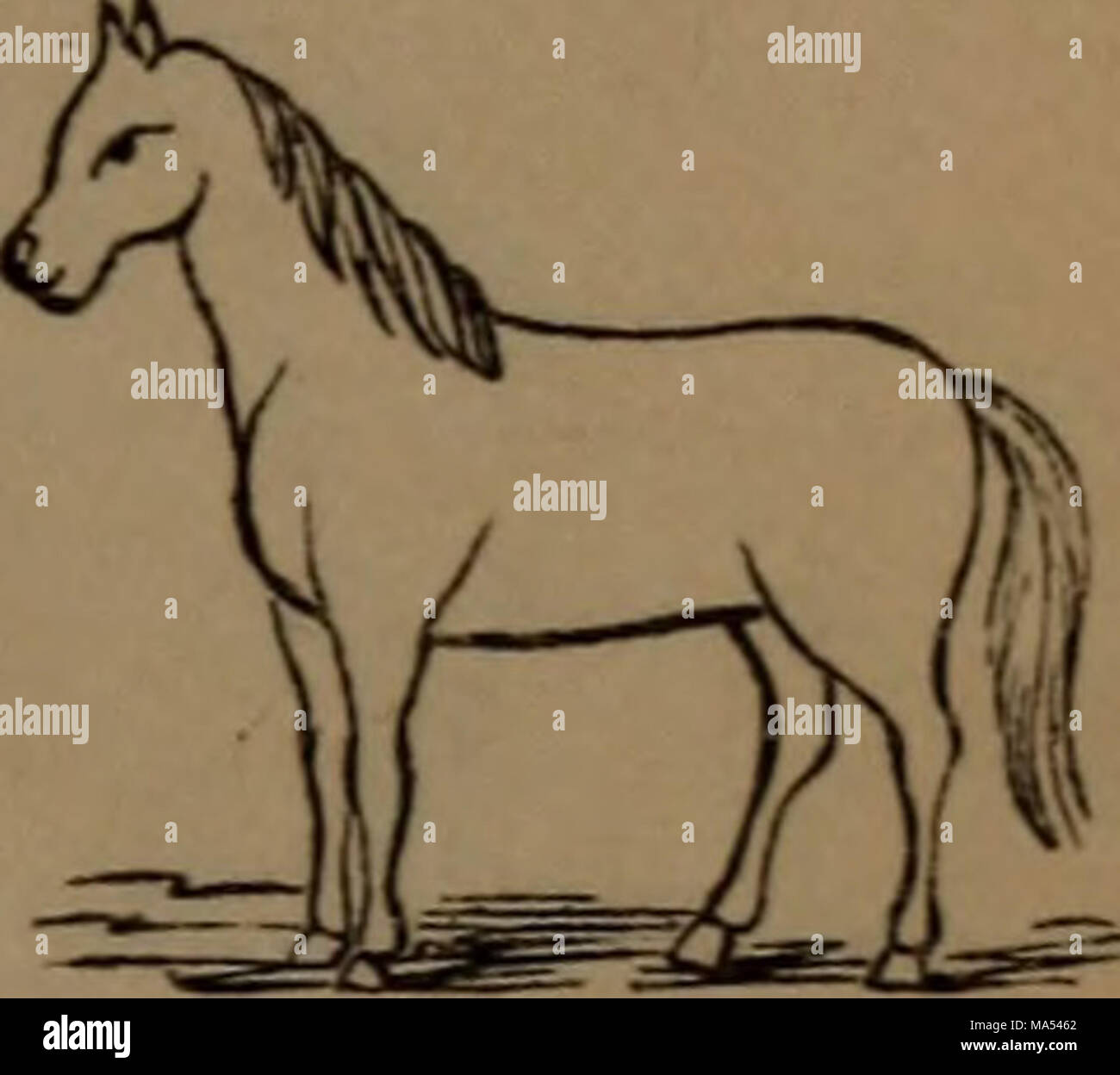 . Elliot's book of forms Stock Photo - Alamy