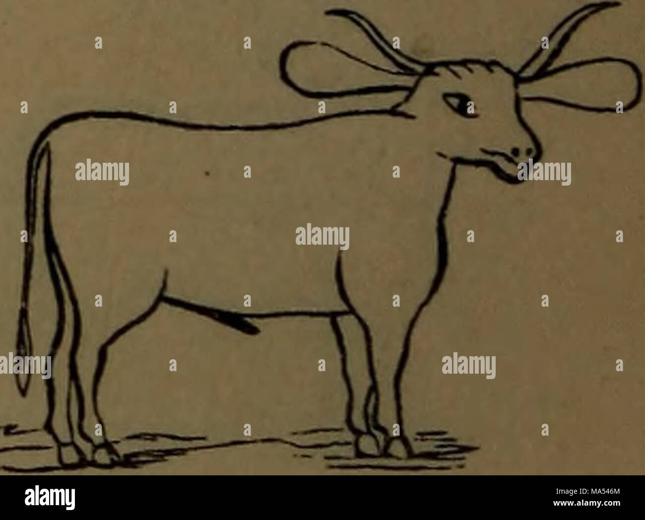 . Elliot's book of forms Stock Photo - Alamy