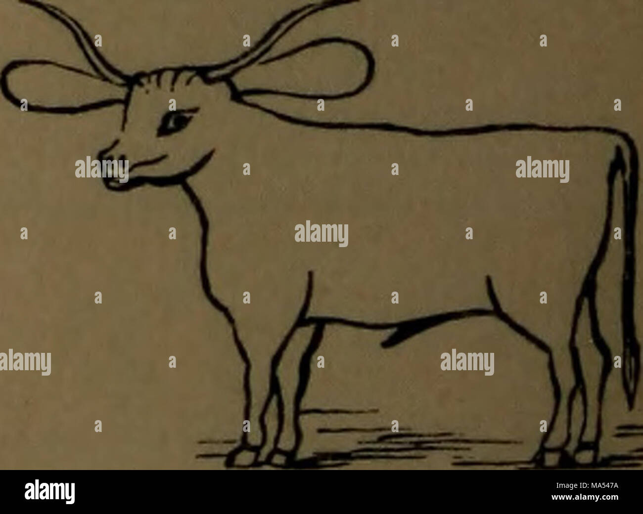 . Elliot's book of forms Stock Photo - Alamy