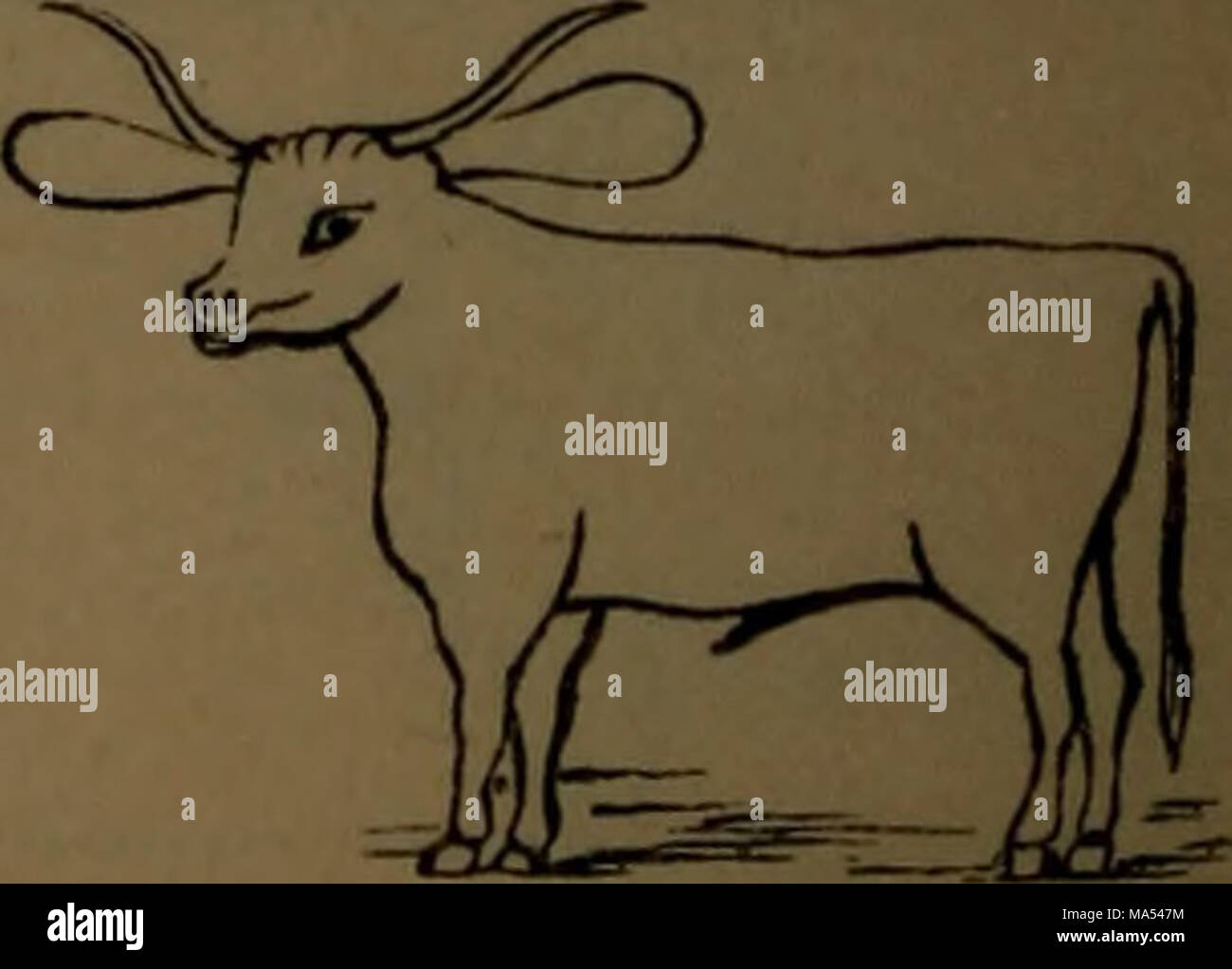 . Elliot's book of forms Stock Photo - Alamy