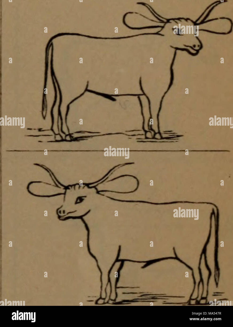 . Elliot's book of forms Stock Photo - Alamy