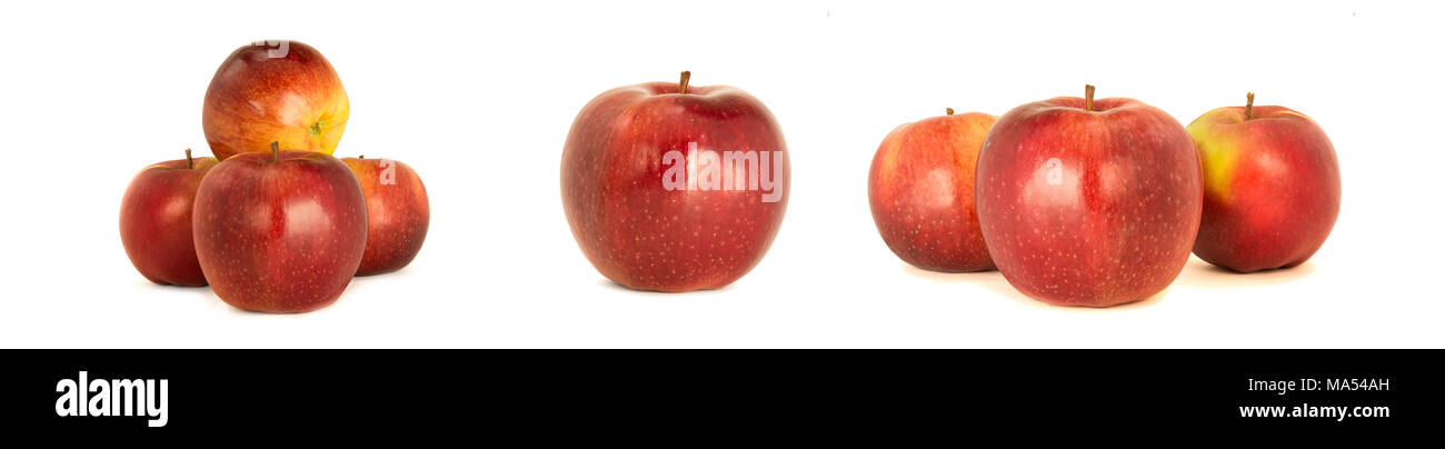 Variety of ripe red apples Ligol isolate white background. Procurement ...