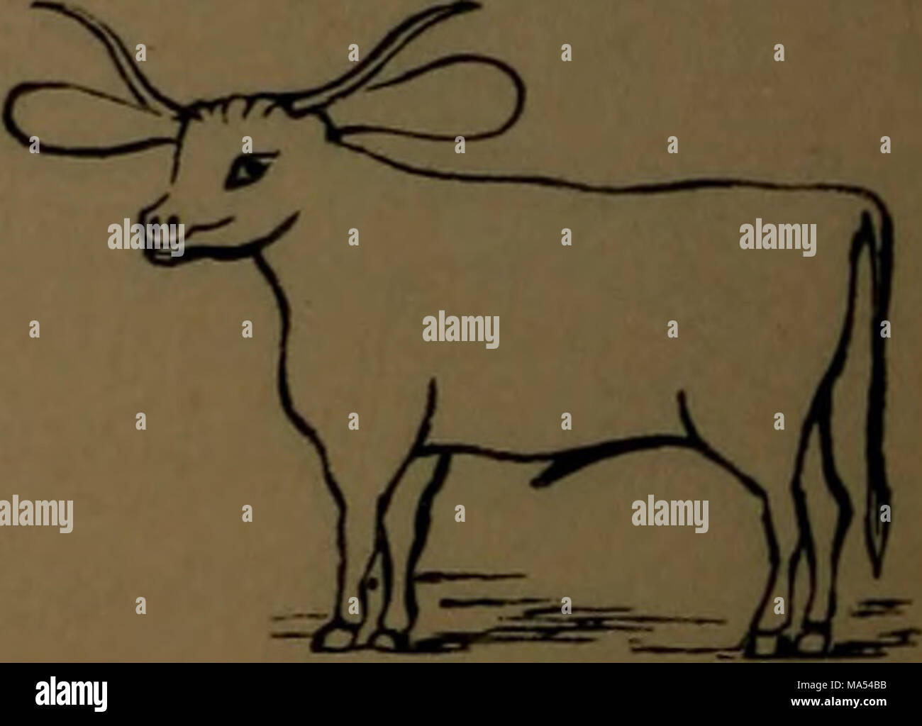 . Elliot's book of forms Stock Photo - Alamy