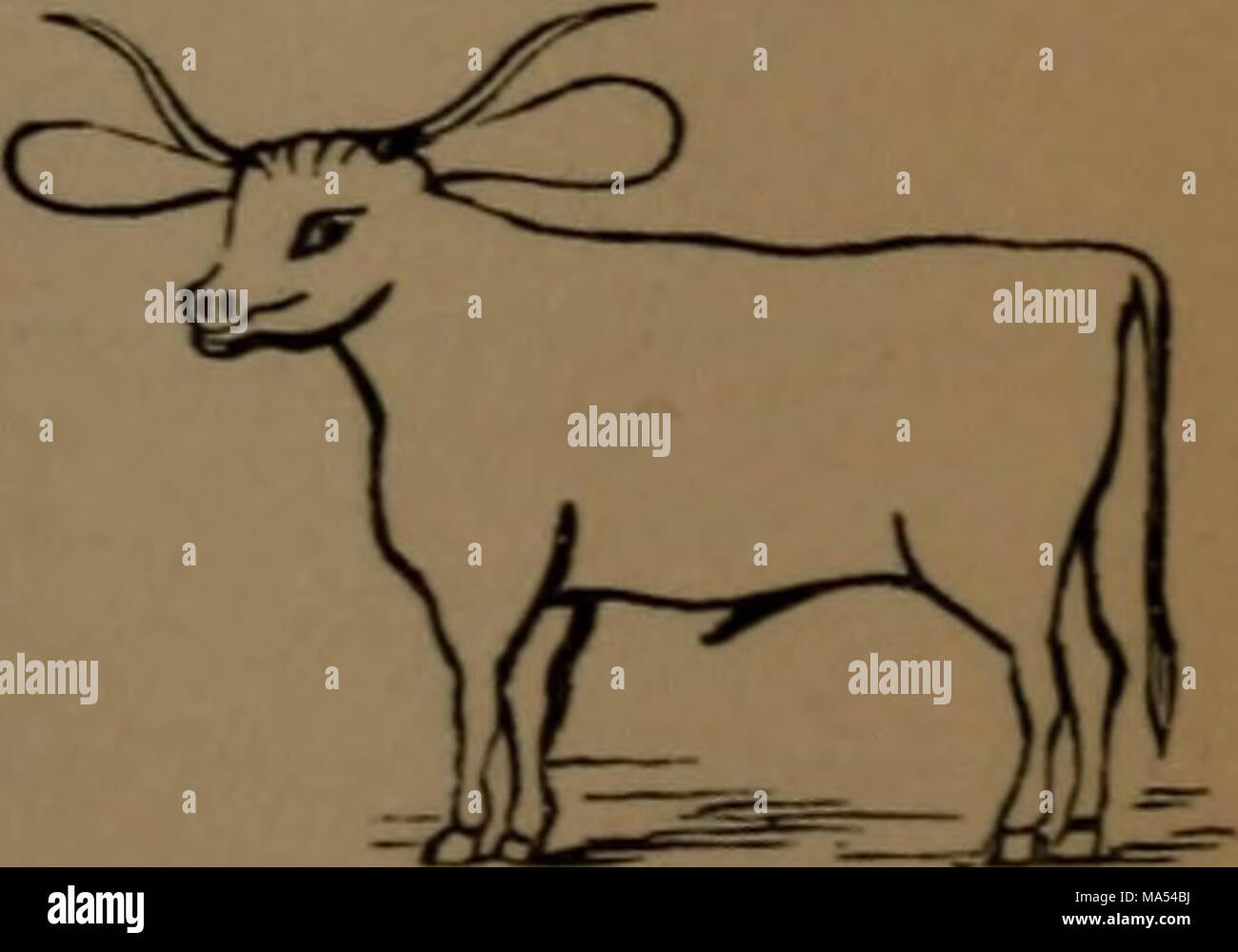 . Elliot's book of forms Stock Photo - Alamy