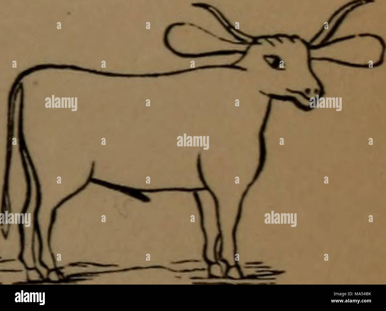 . Elliot's book of forms Stock Photo - Alamy