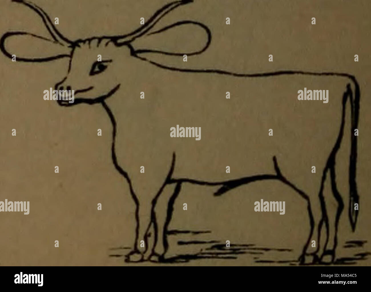 . Elliot's book of forms Stock Photo - Alamy