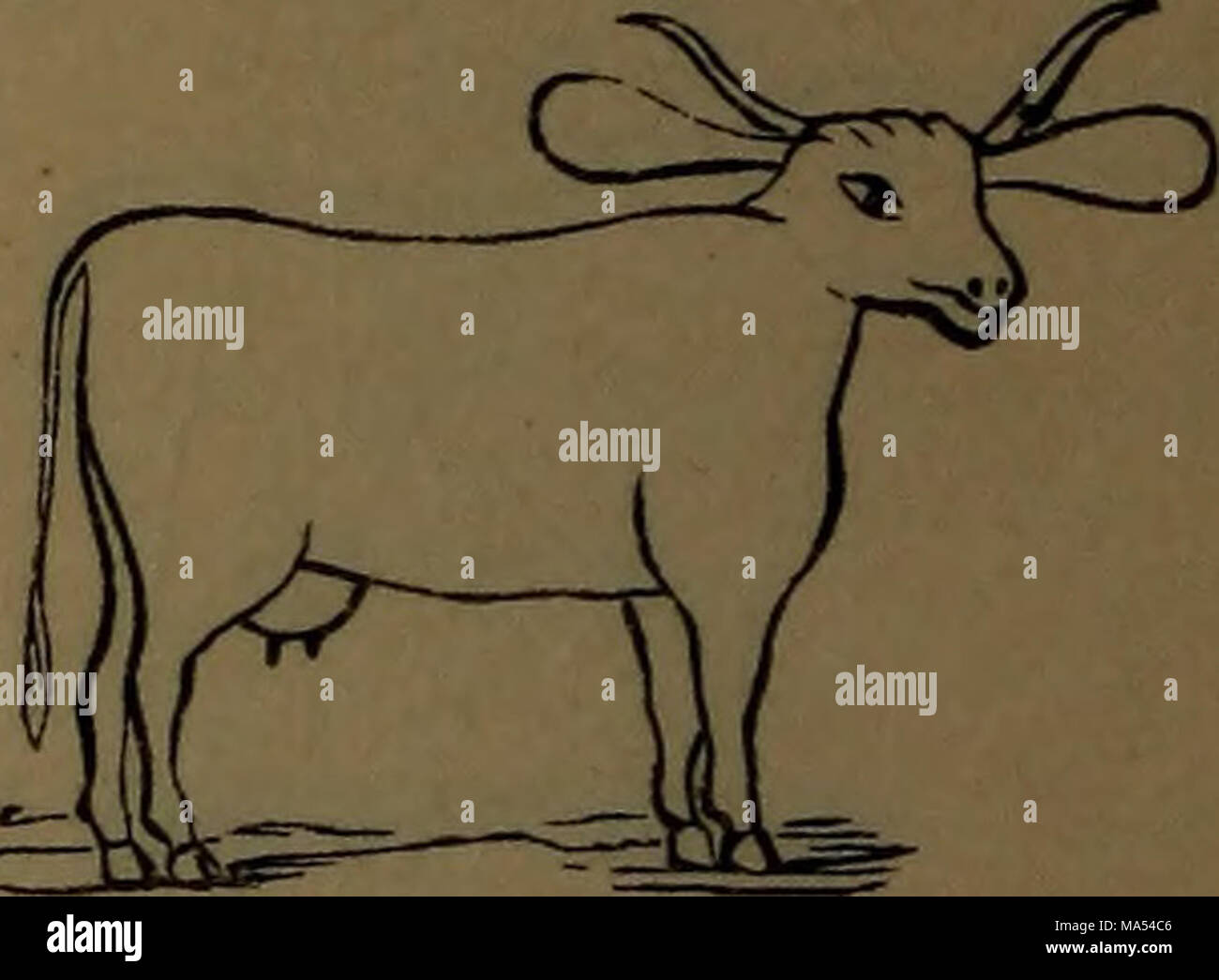 . Elliot's book of forms Stock Photo - Alamy