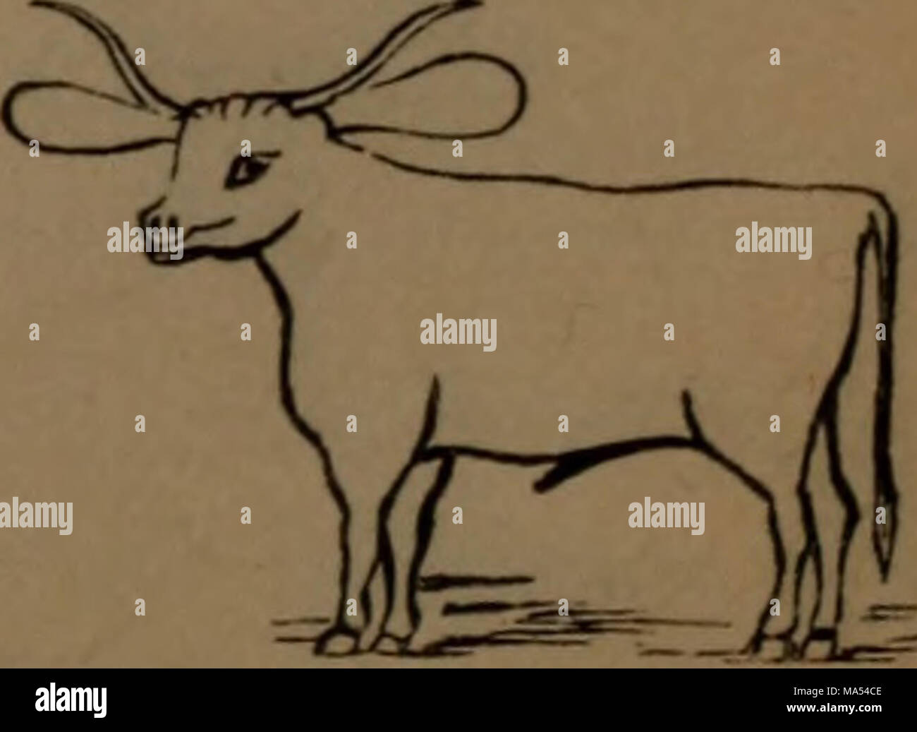 . Elliot's book of forms Stock Photo - Alamy