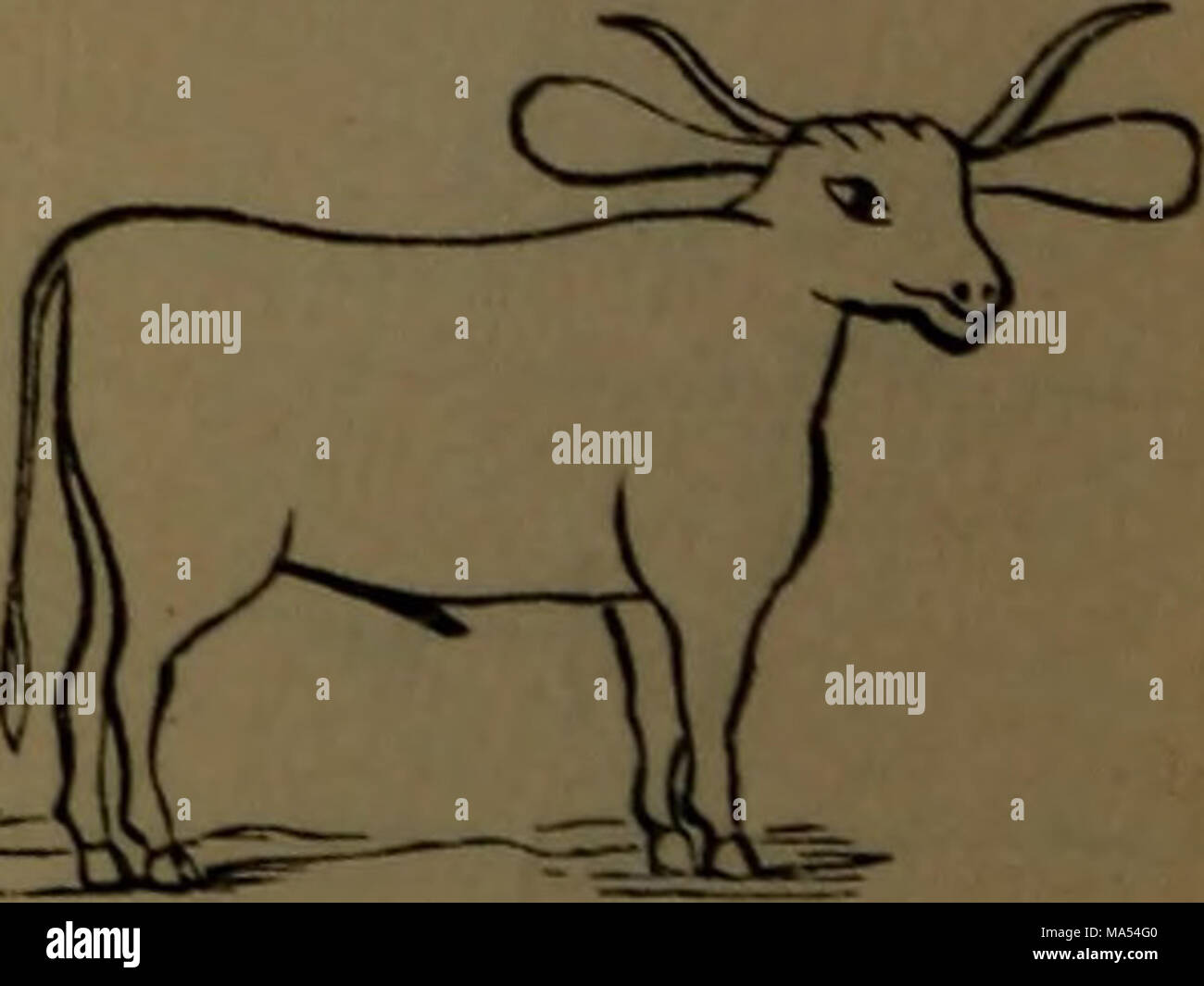 . Elliot's book of forms Stock Photo - Alamy