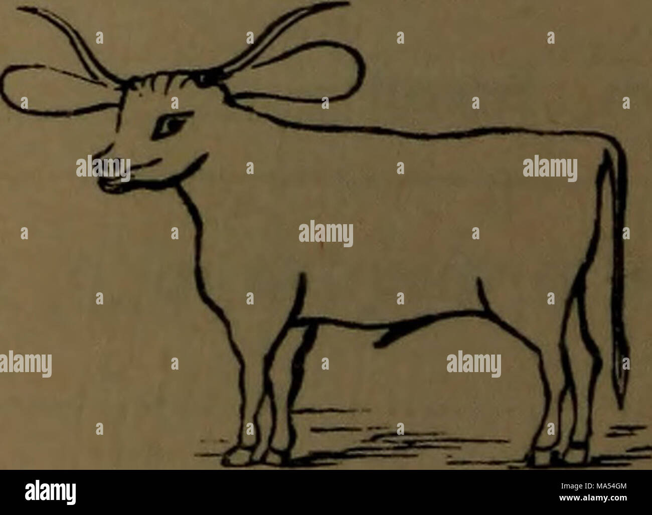 . Elliot's book of forms Stock Photo - Alamy