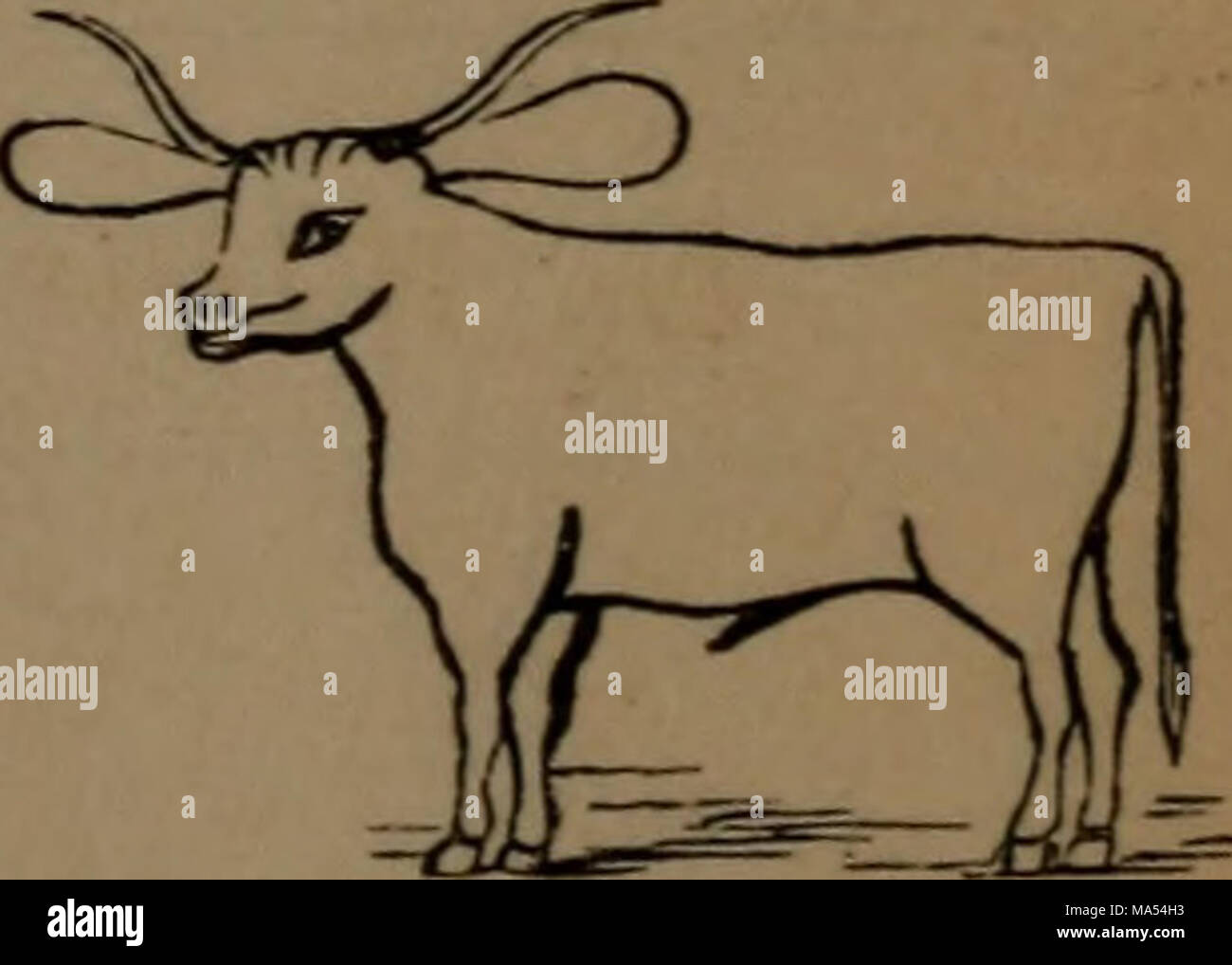 . Elliot's book of forms Stock Photo - Alamy