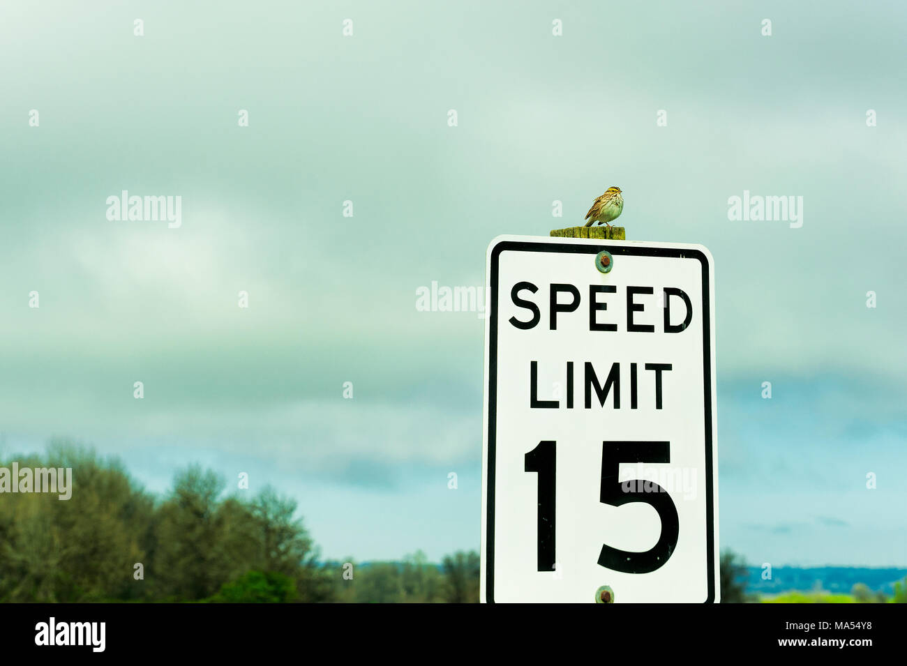 15 mph sign hi-res stock photography and images - Alamy