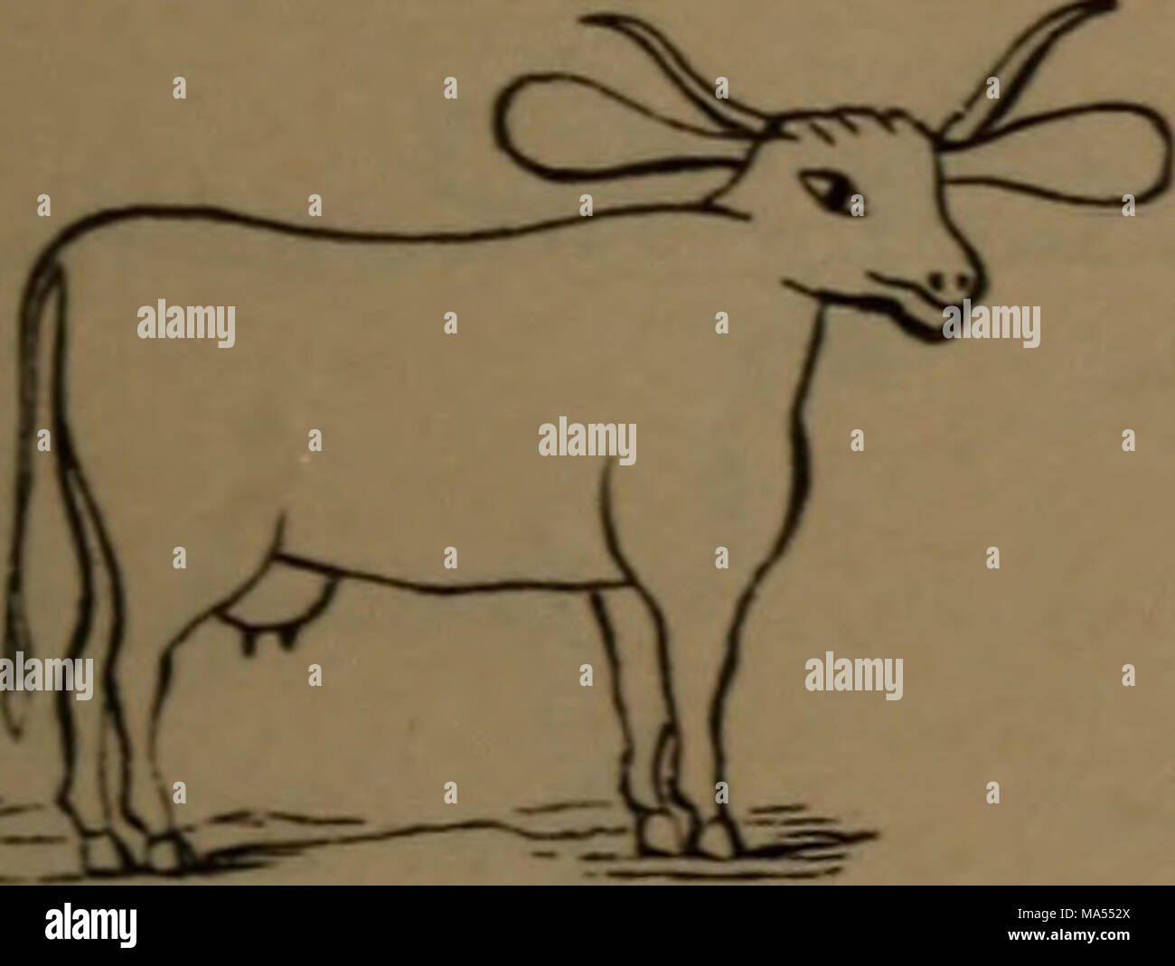 . Elliot's book of forms Stock Photo - Alamy