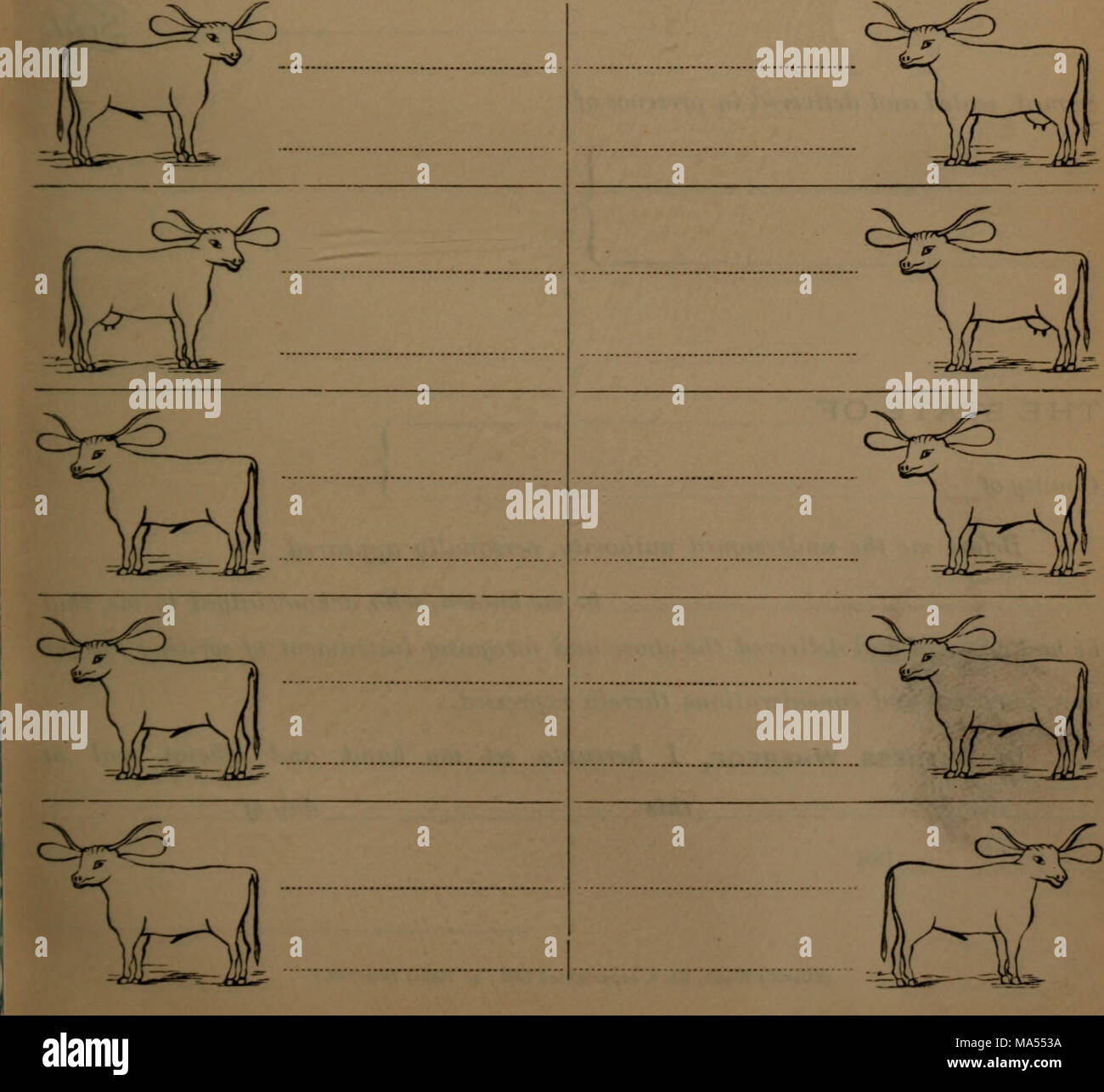 . Elliot's book of forms Stock Photo - Alamy