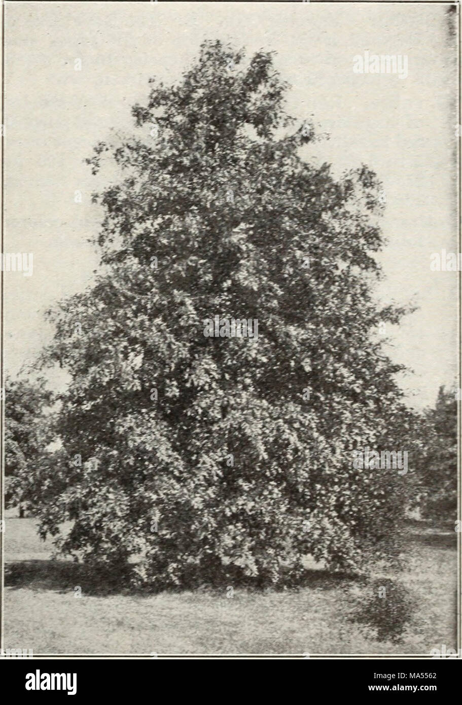 Plantproducts hi-res stock photography and images - Alamy