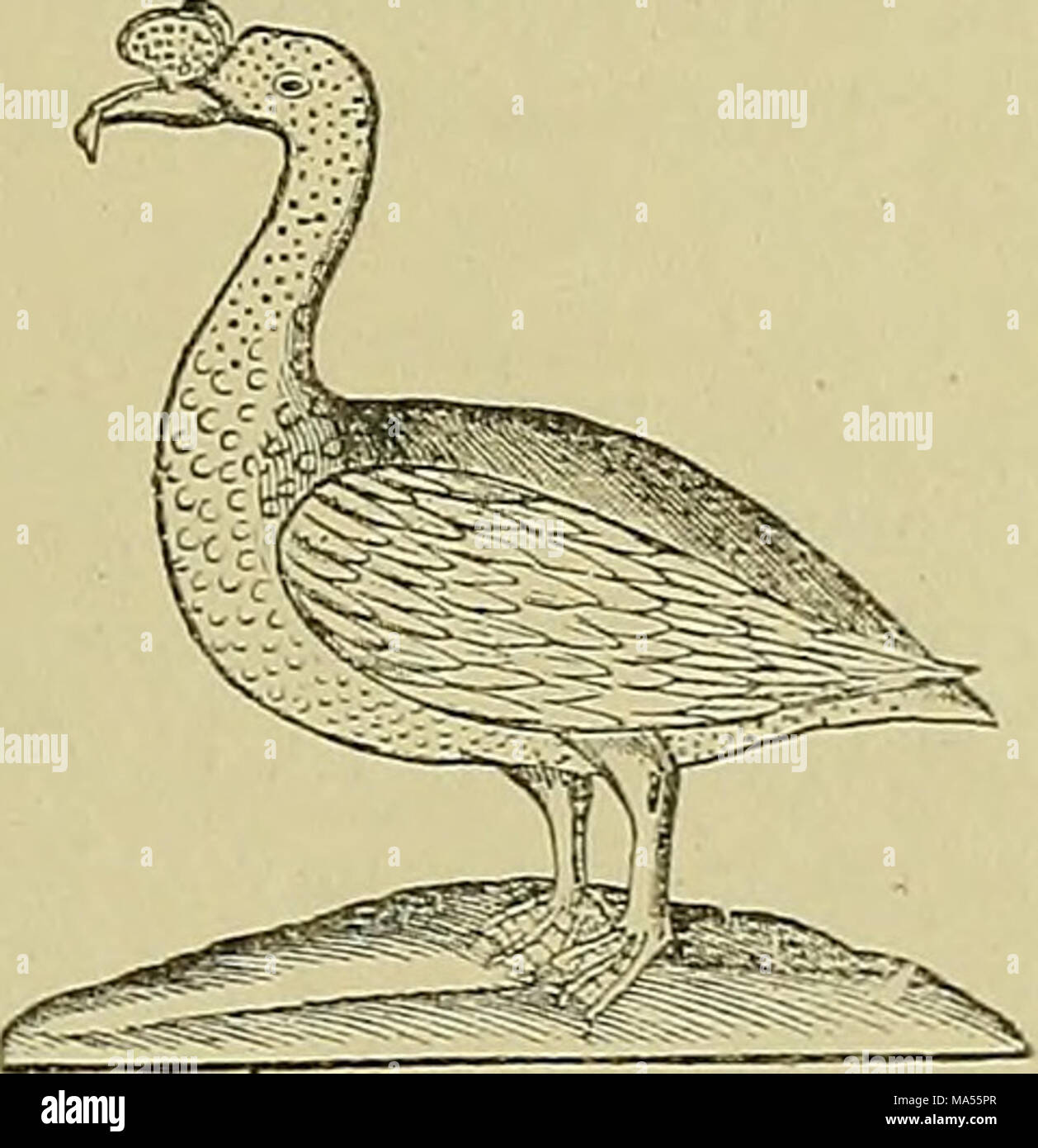 . El Hornero Stock Photo - Alamy