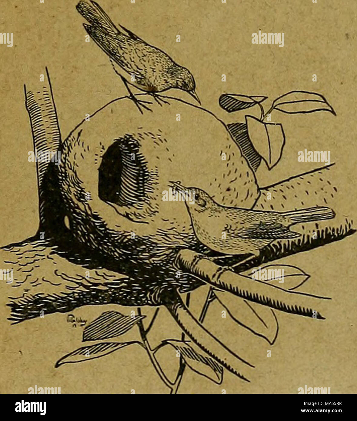 . El Hornero Stock Photo - Alamy