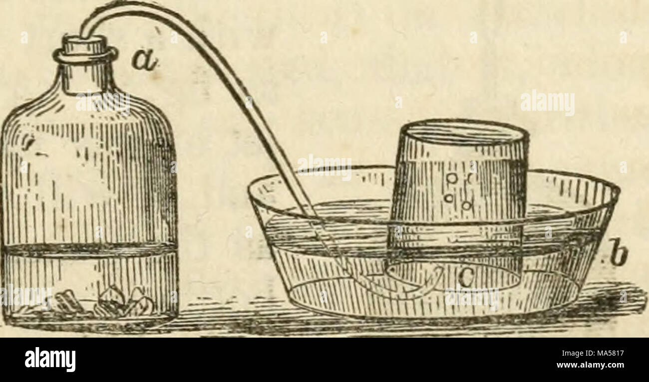 . Elements of scientific agriculture; or, The connection between ...