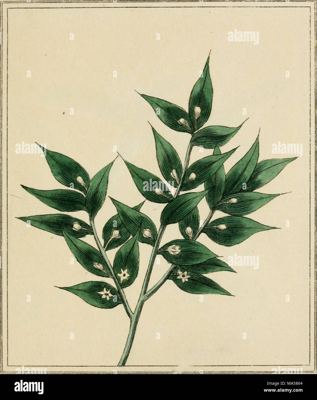 . Elements of the science of botany, as established by Linnaeus; with ...