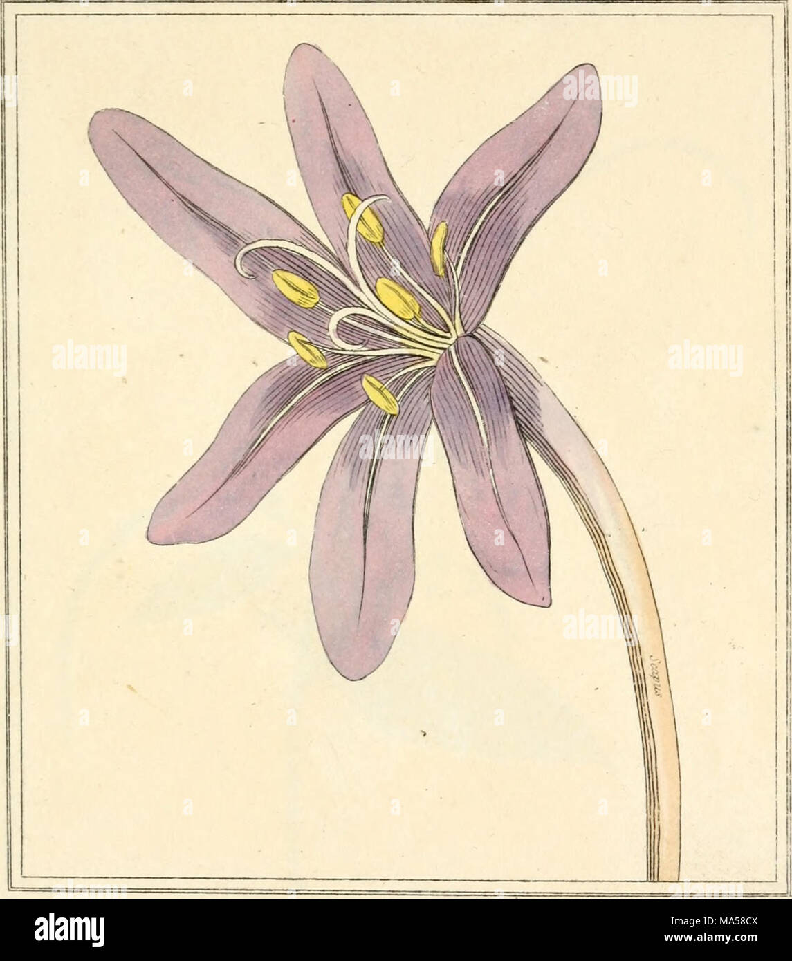 . Elements of the science of botany, as established by Linnaeus; with ...