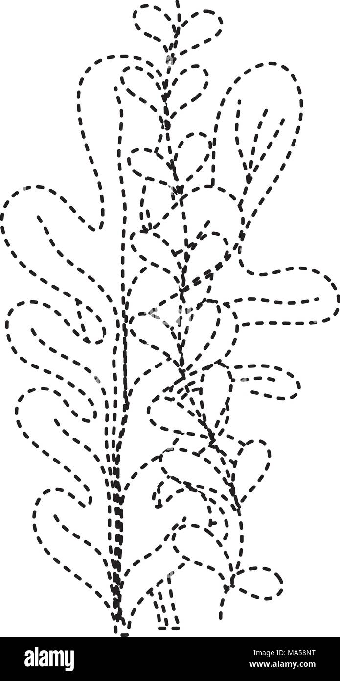 dotted shape seaweed nature marine plant design Stock Vector Image ...