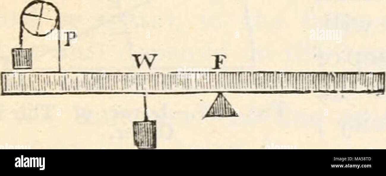 . The elements of physiological physics: an outline of the elementary ...