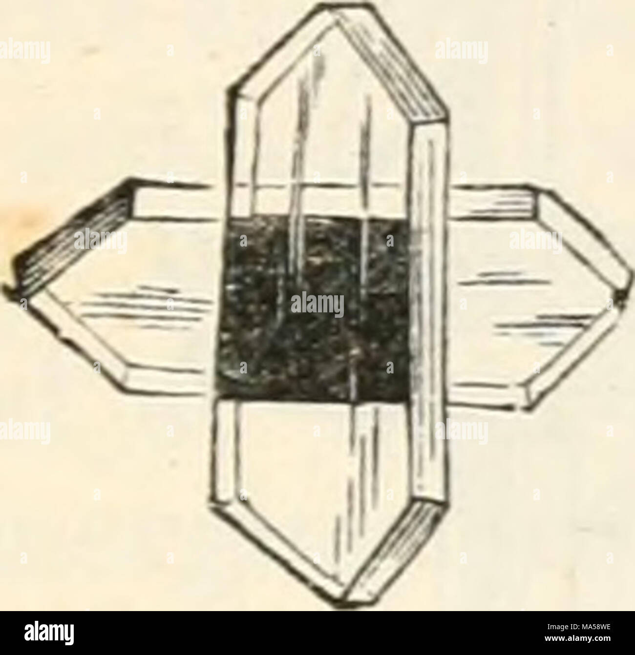 . The elements of physiological physics: an outline of the elementary ...