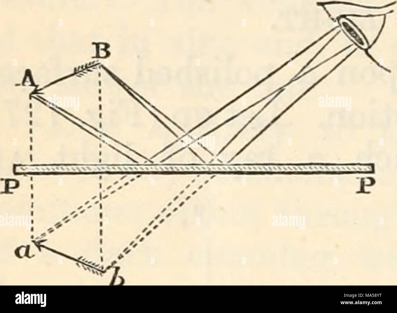 . The elements of physiological physics: an outline of the elementary ...