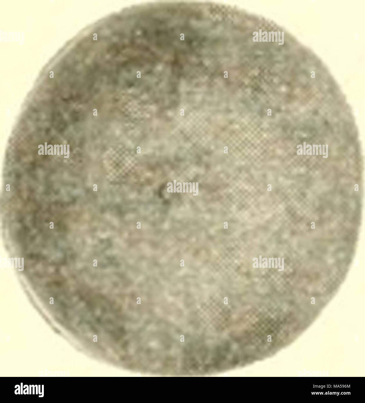 . Elements of Philippine agriculture Stock Photo - Alamy