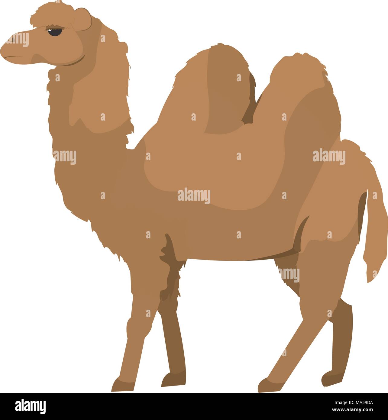 cute nature camel desert animal Stock Vector Image & Art - Alamy